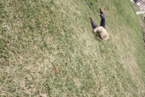 Classic Outdoor Activity Rolling Down the Hill - Hands On As We Grow®