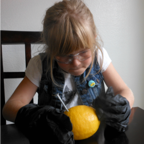 Lemon Battery Experiment (This Ones for the Girls)