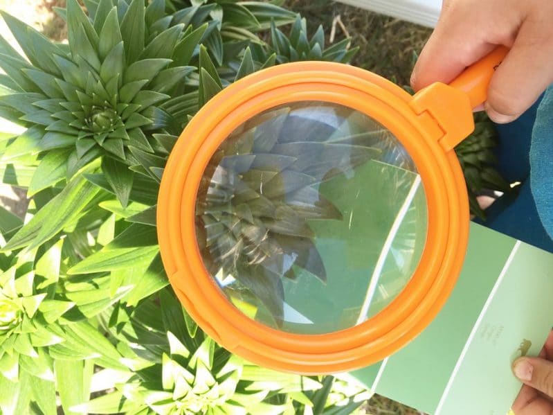 23+ Simple Nature Activities for Kids to Create, Explore & Learn