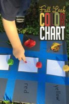 Activities with Leaves