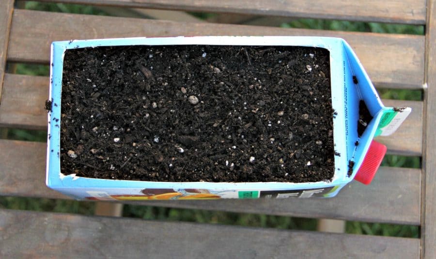 Upcycled Planter Flower Garden for Kids - Hands On As We Grow®