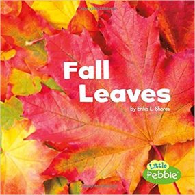 50+ Fall Leaf Themed Activities, Books, Crafts, and Snacks | HOAWG