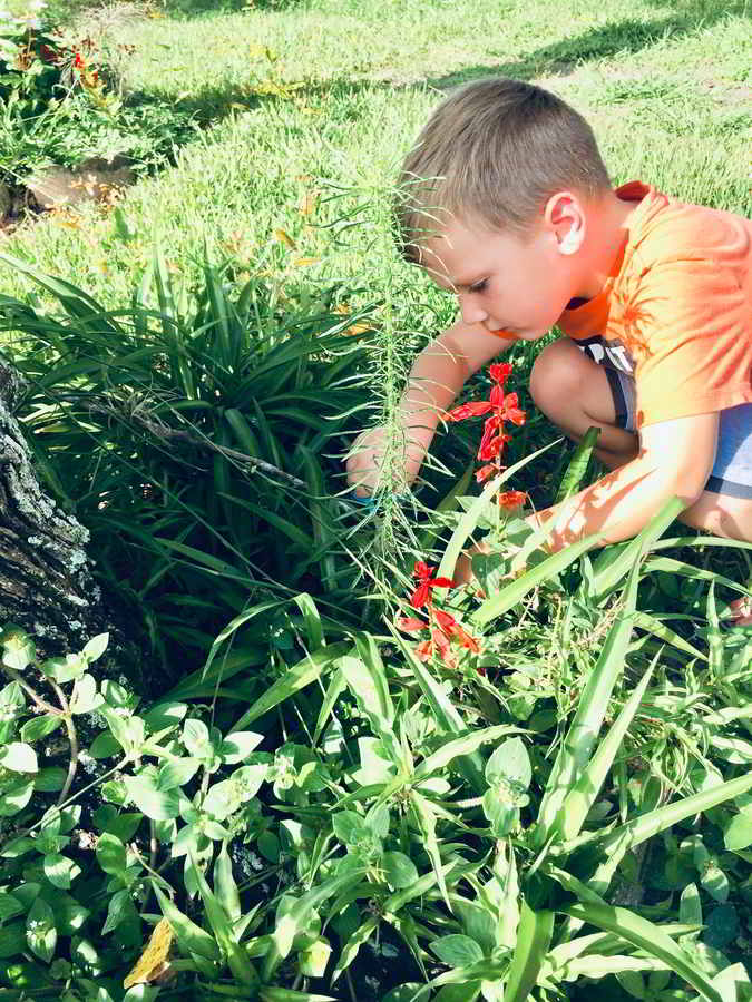 Fun Fine Motor Leaf Cutting Activity for Fall - Hands On As We Grow®