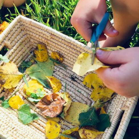 23+ Simple Nature Activities for Kids to Create, Explore & Learn