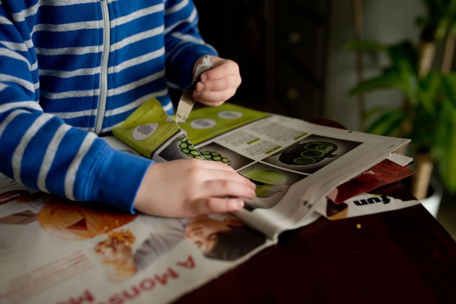 Magazine Scavenger Hunt with Paper Tearing - Hands On As We Grow®