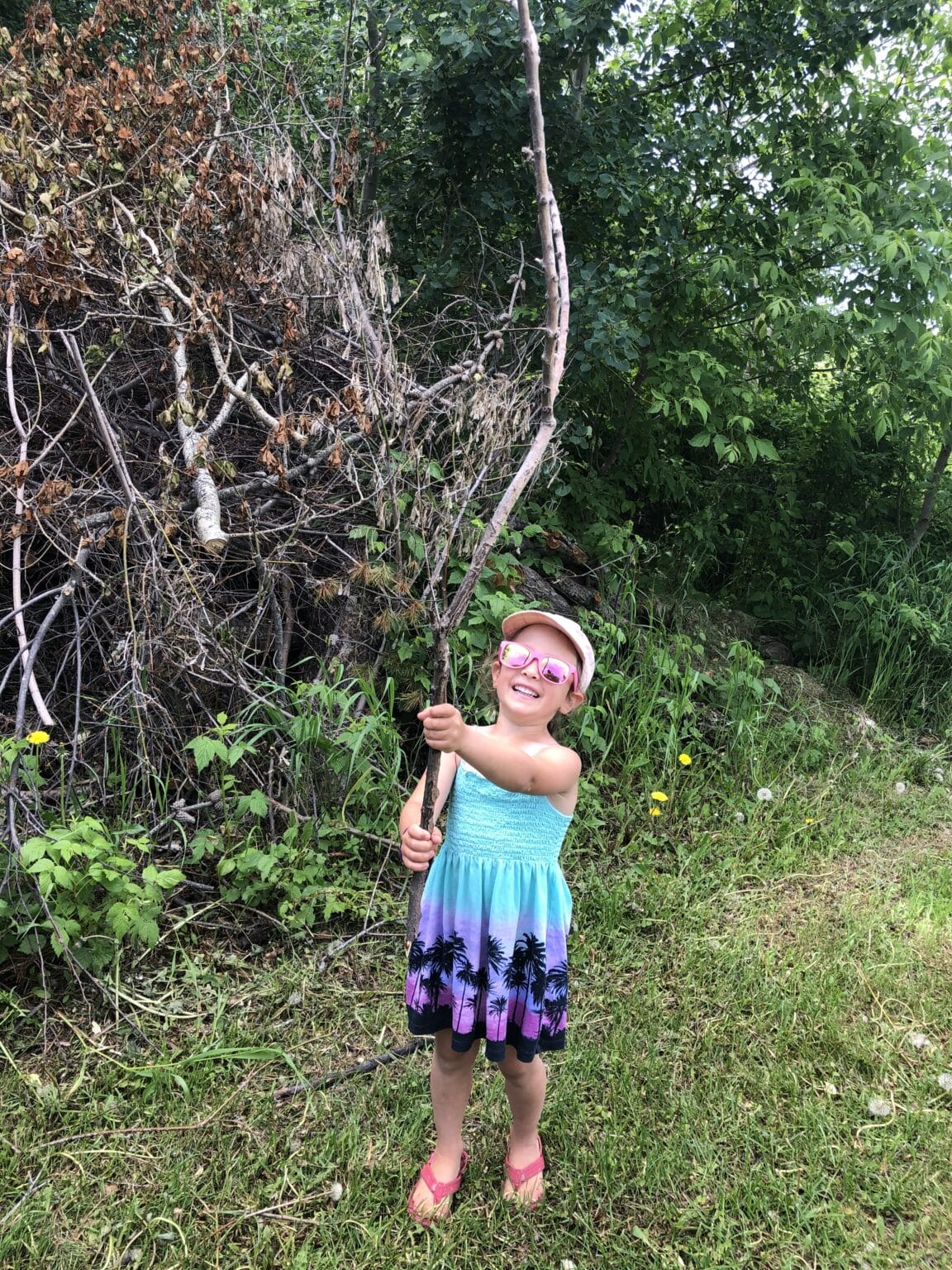 Kids Nature Collection Used for Simple Activities - HOAWG