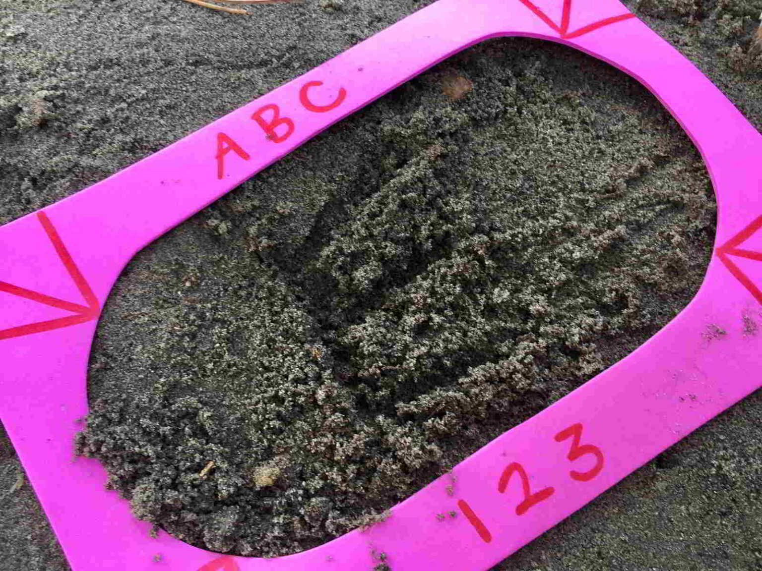 Sand Drawing for Kids to Create Art in the Sandbox - HOAWG