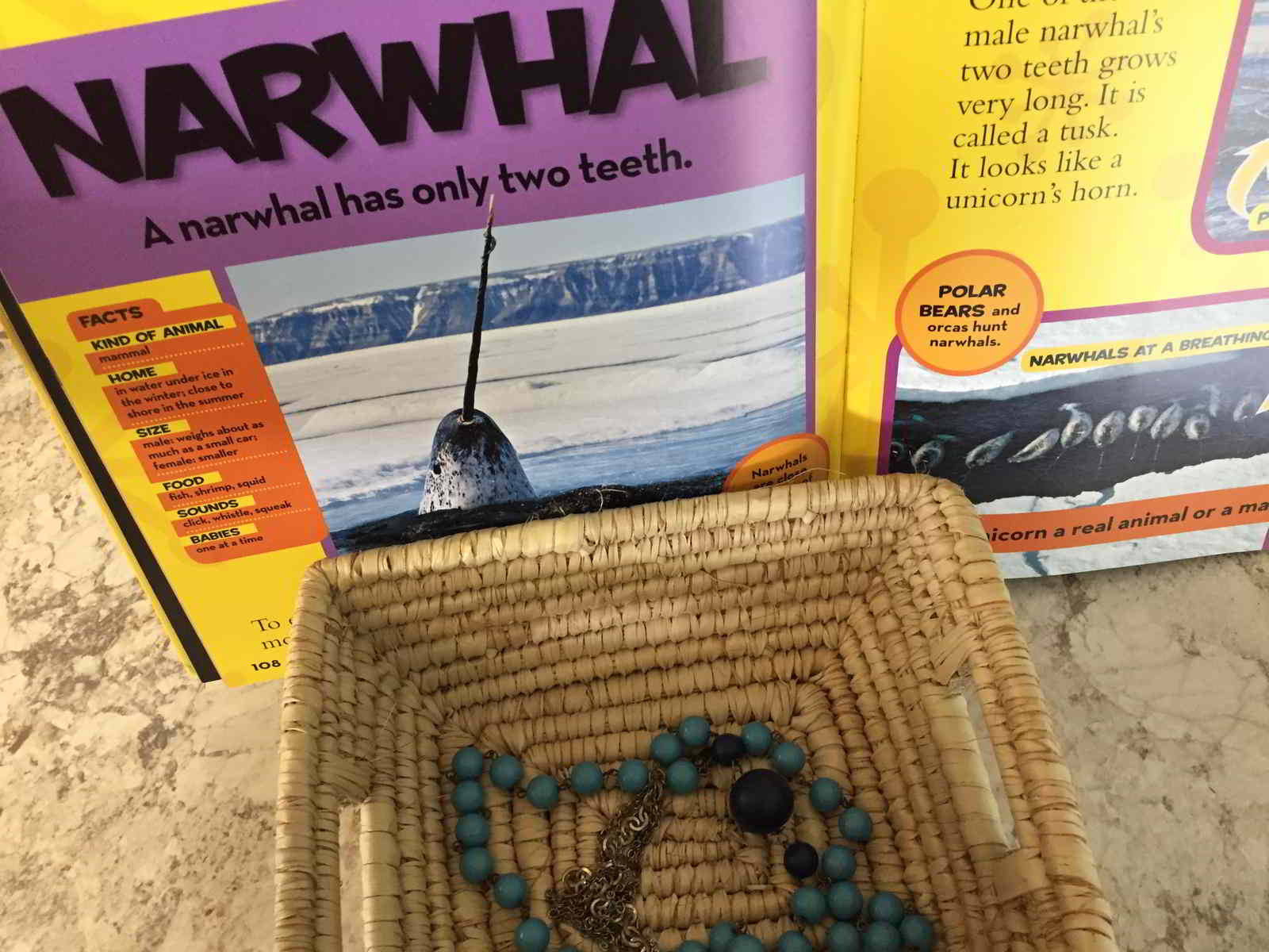 Animals in Winter Activity an Easy Indoor Scavenger Hunt - HOAWG