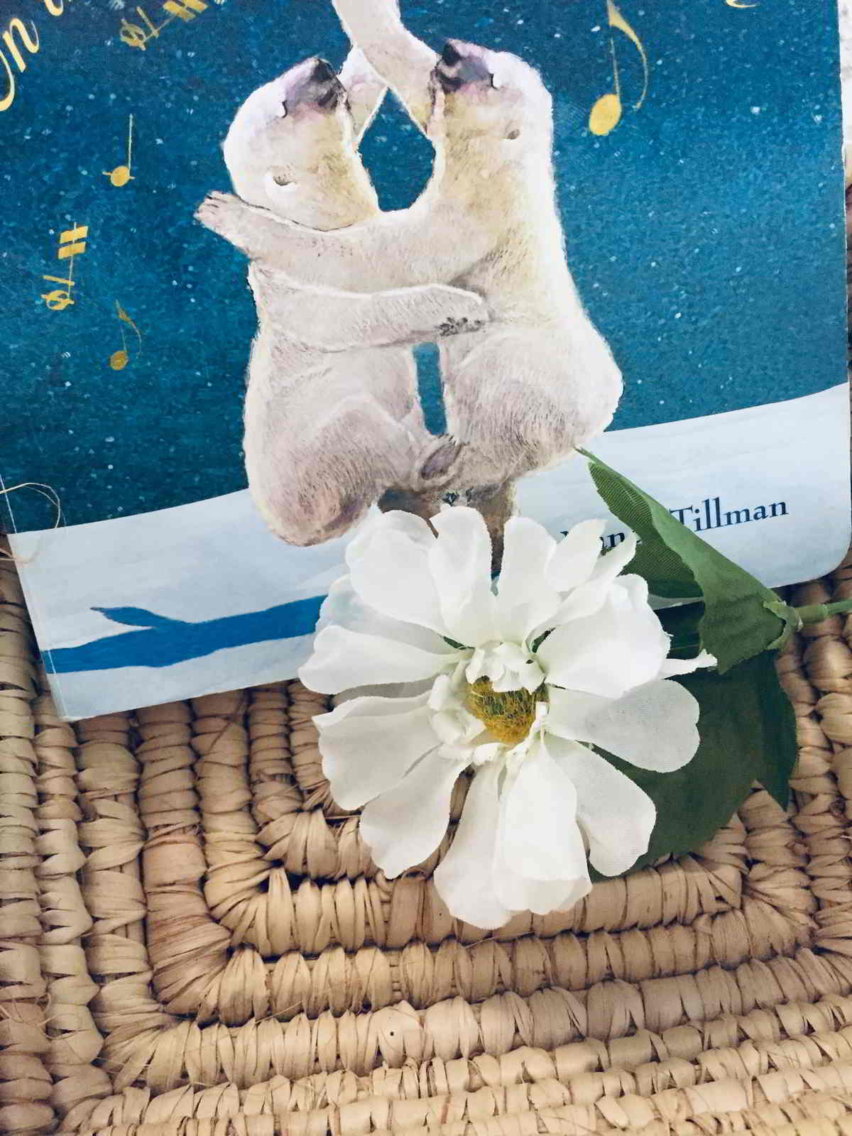 Animals in Winter Activity an Easy Indoor Scavenger Hunt - HOAWG