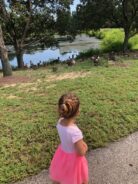 Experience Nature with A Simple Outdoor Sensory Walk - HOAWG