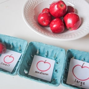 40 Easy Apple Activities for Kids to Experiment, Create & Learn - HOAWG