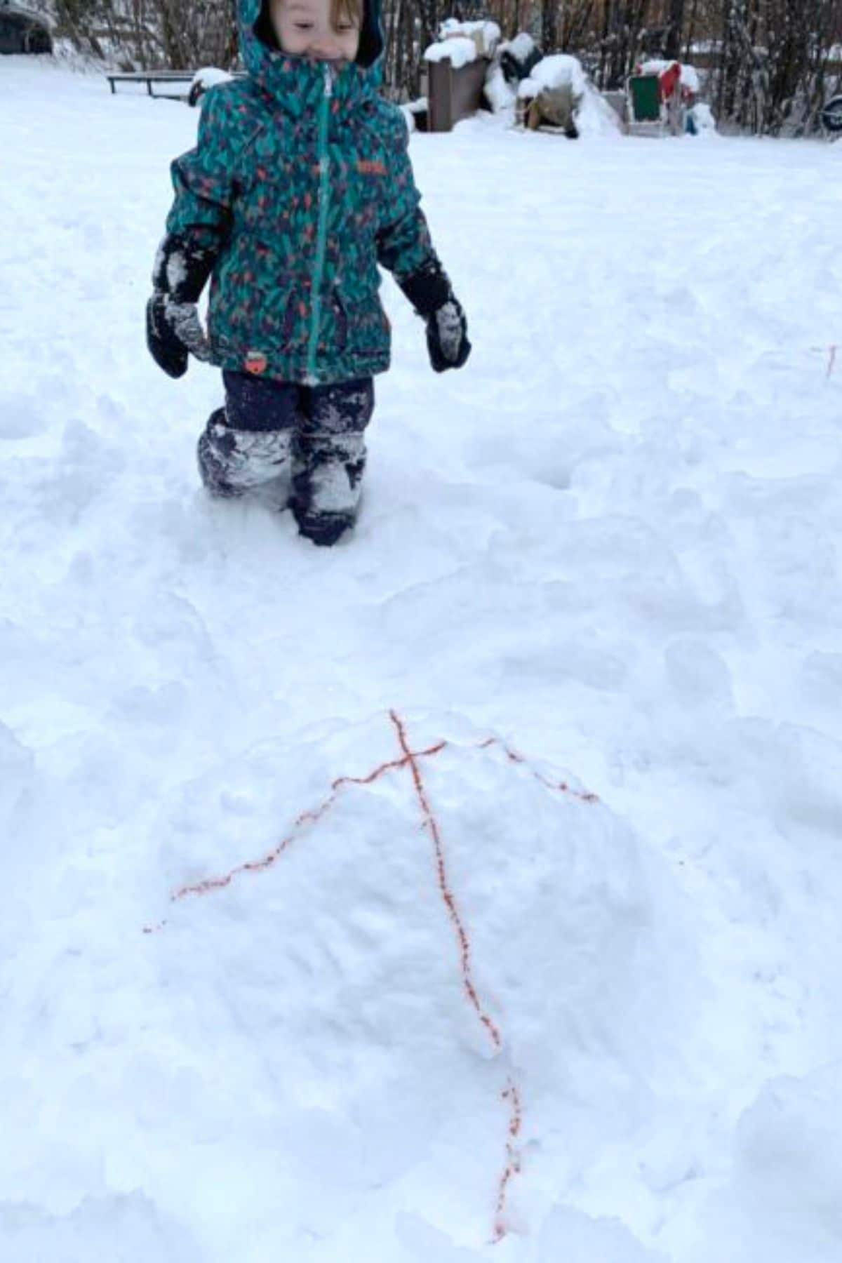 Dinosaur Tracks Matching Activity