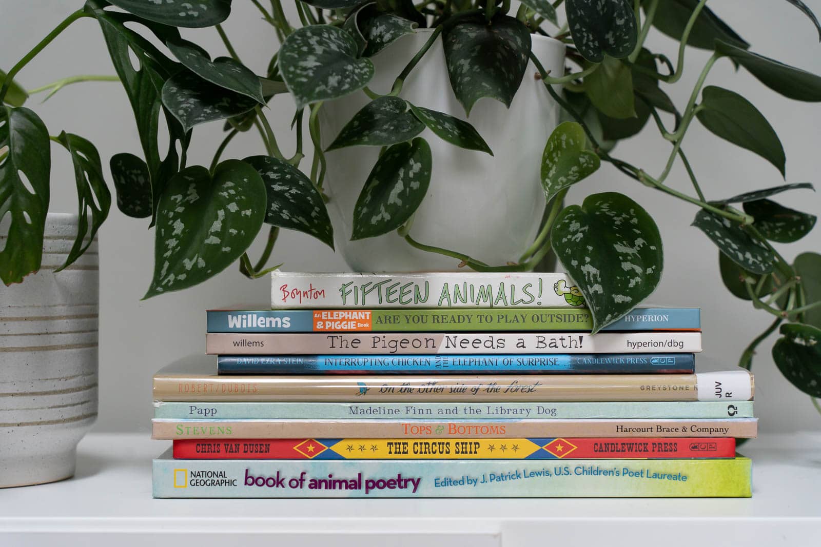 Animal Books for Kids that Even Adults Will Enjoy Reading