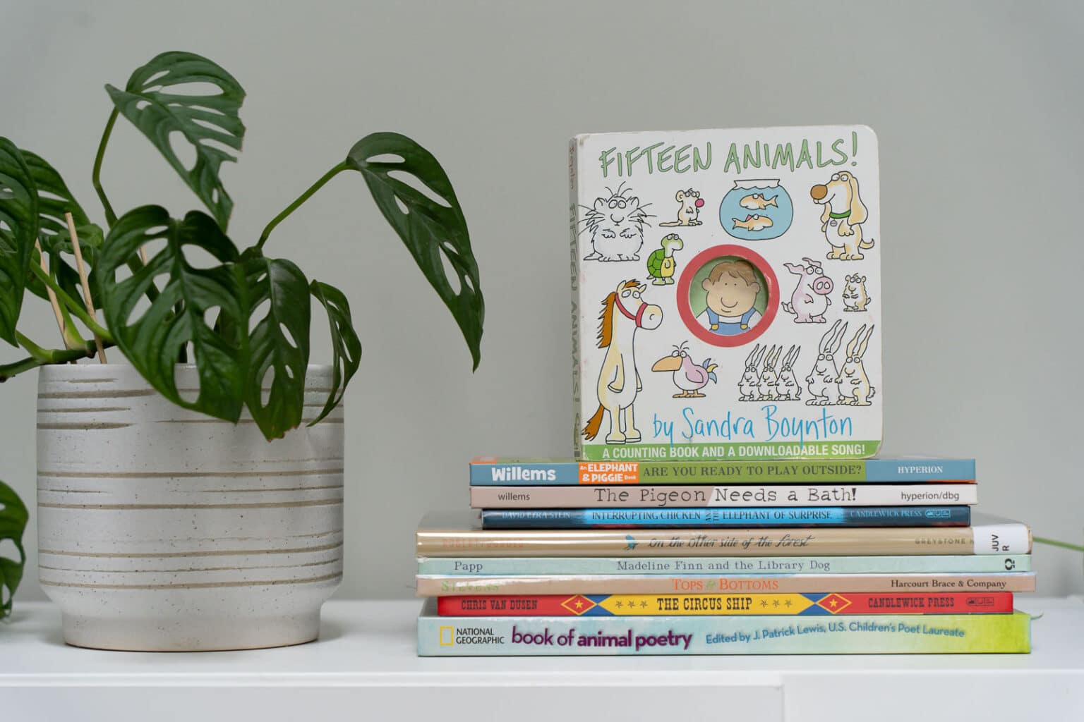 Animal Books for Kids that Even Adults Will Enjoy Reading
