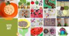 50+ Prized Plant Activities with Simple Seed Crafts & Science Activities