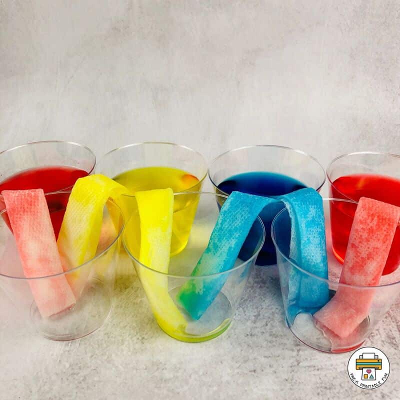 48 Spring Themed Activities for Preschoolers to Develop All Areas