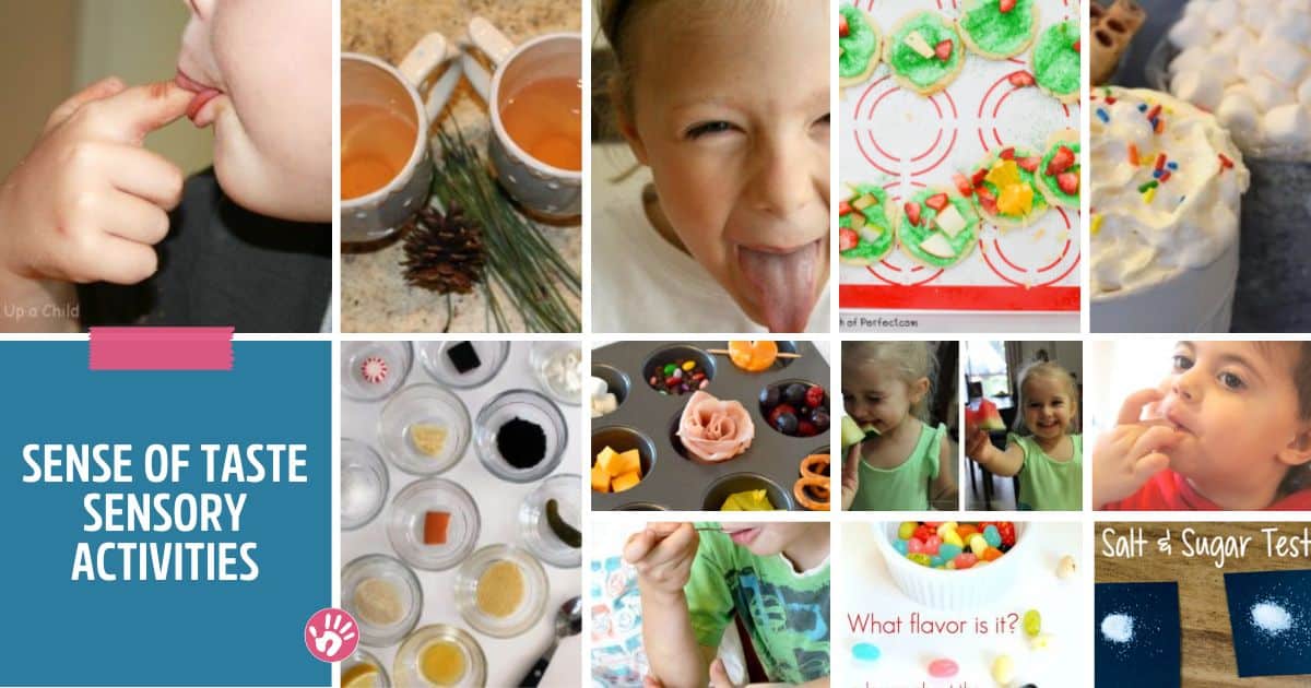 15 Fun Sense Of Taste Activities For Preschoolers – BERYSV