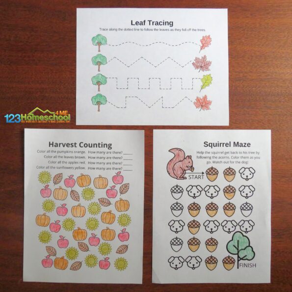 50+ Fall Leaf Themed Activities, Books, Crafts, and Snacks | HOAWG