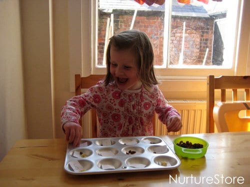 Muffin Tin Math