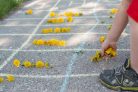 Dandelion Counting Race - Hands On As We Grow®